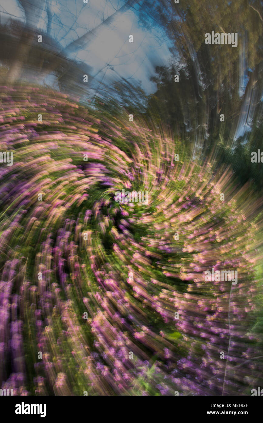 Rolling spring hi-res stock photography and images - Alamy