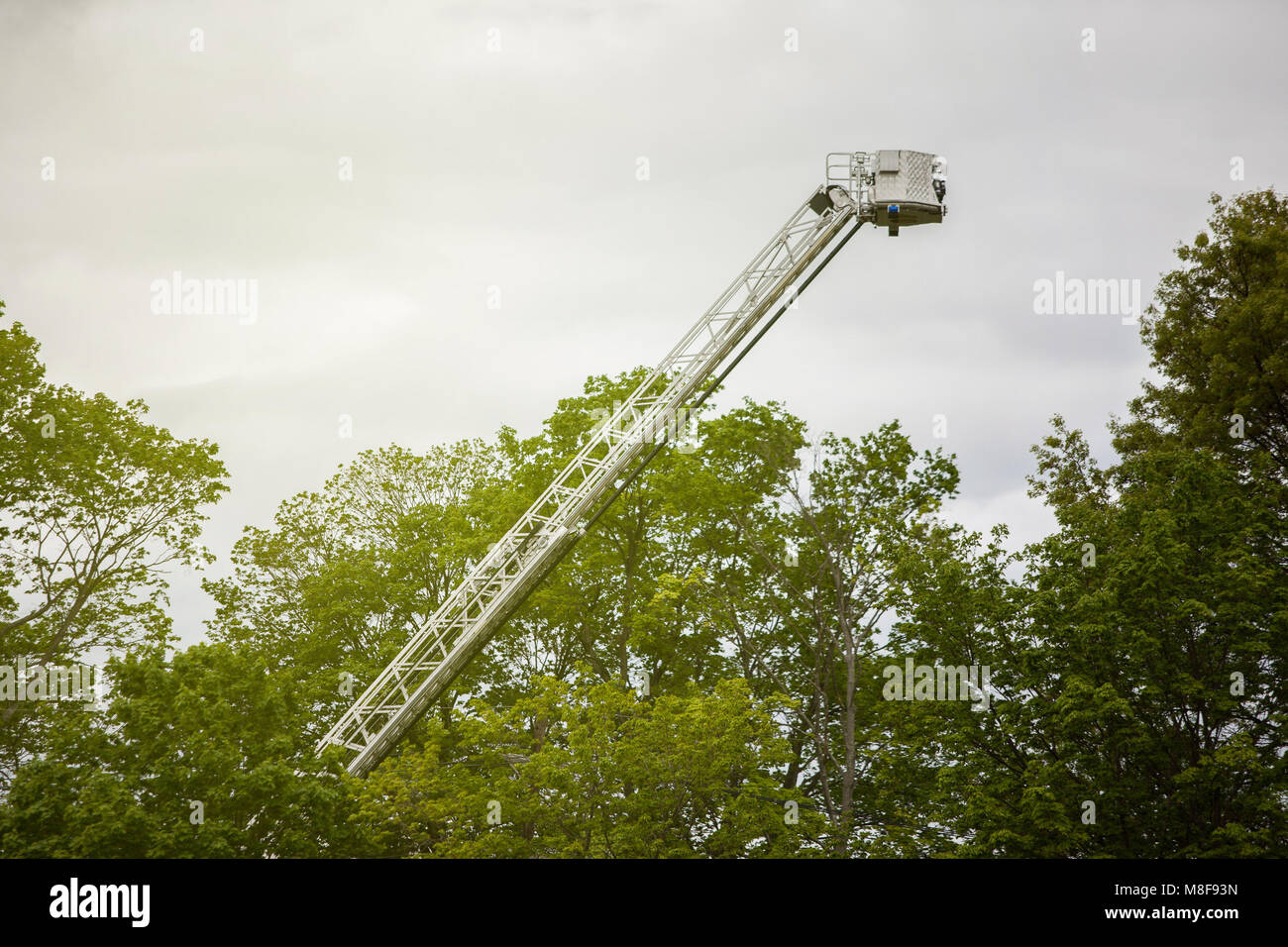 Extended high firefighting ladder to heaven above trees Stock Photo - Alamy