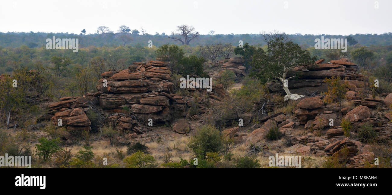 Kopje rock hi-res stock photography and images - Alamy