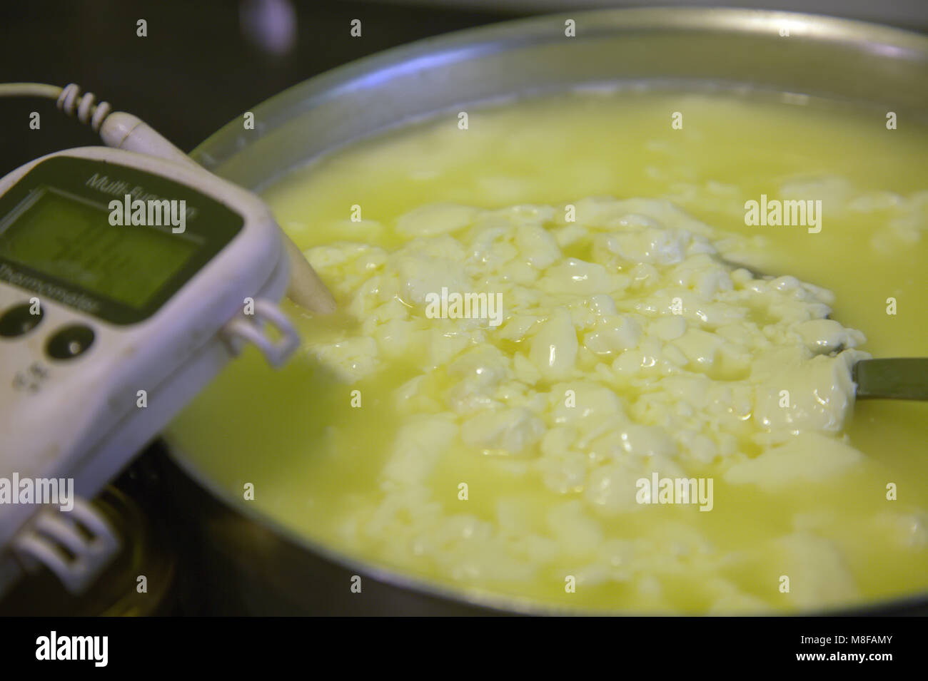 Domestic making of Lancashire Cheese - curds formation after adding ...
