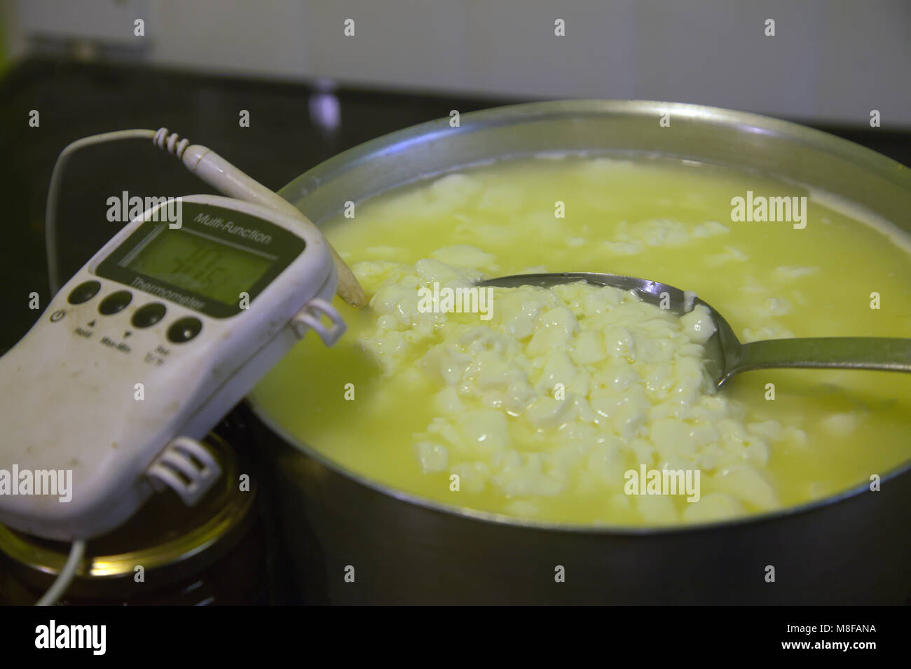 Domestic making of Lancashire Cheese - curds formation after adding ...