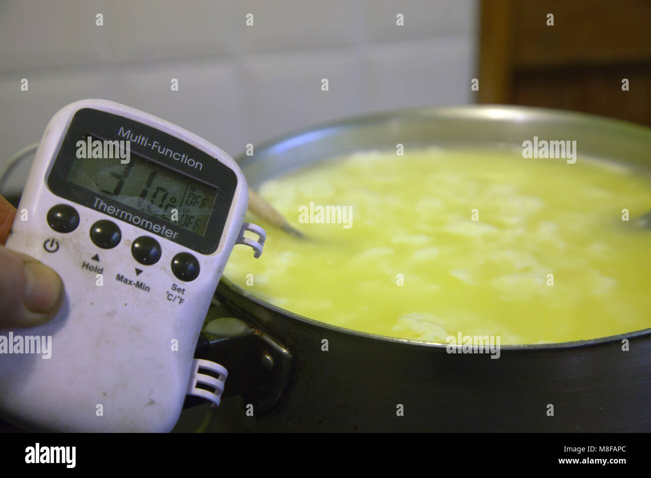Domestic making of Lancashire Cheese - curds formation after adding ...
