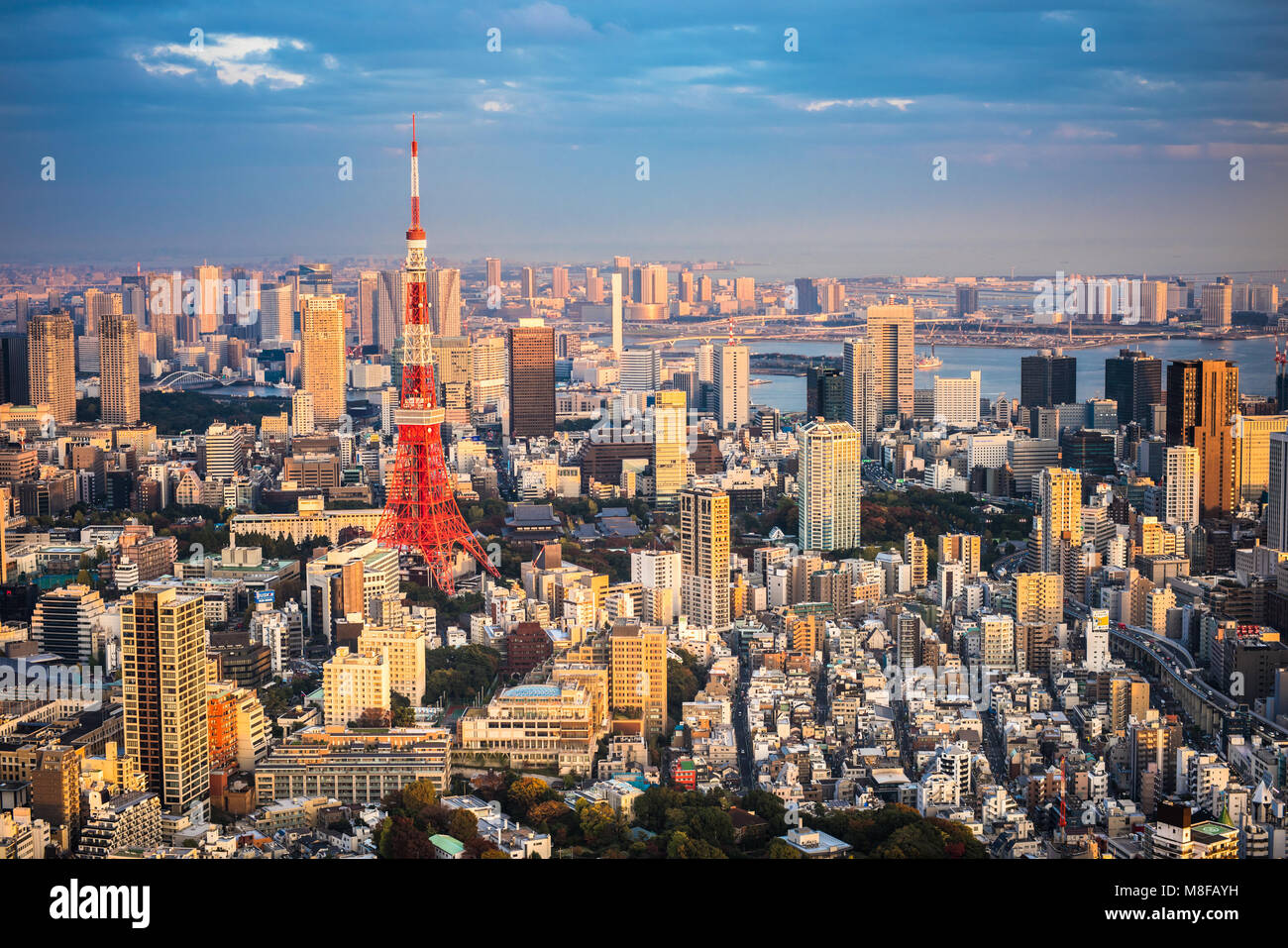 Tokyo aerial panoramic view Stock Photo - Alamy