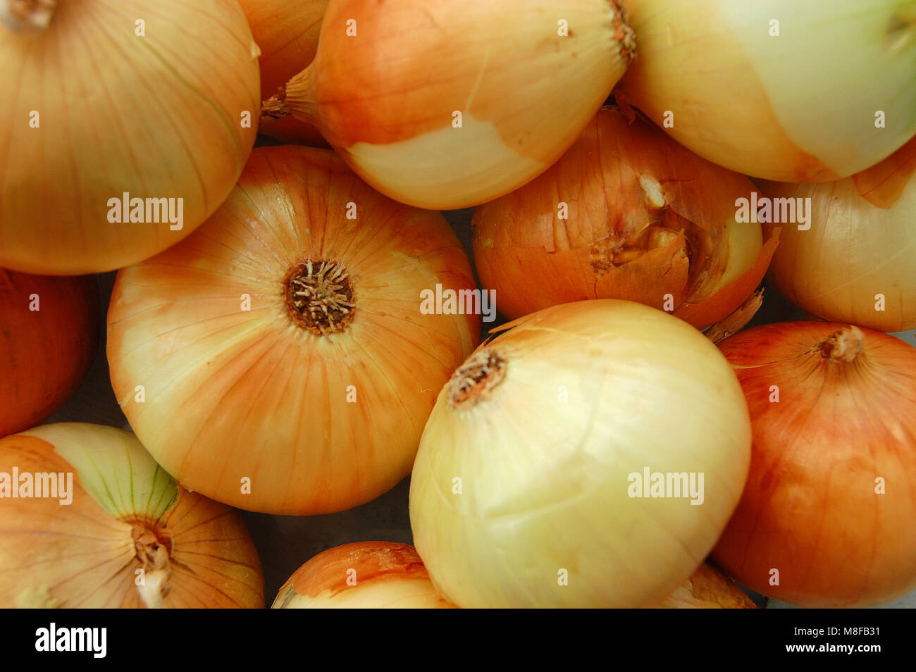 background with onions Stock Photo - Alamy