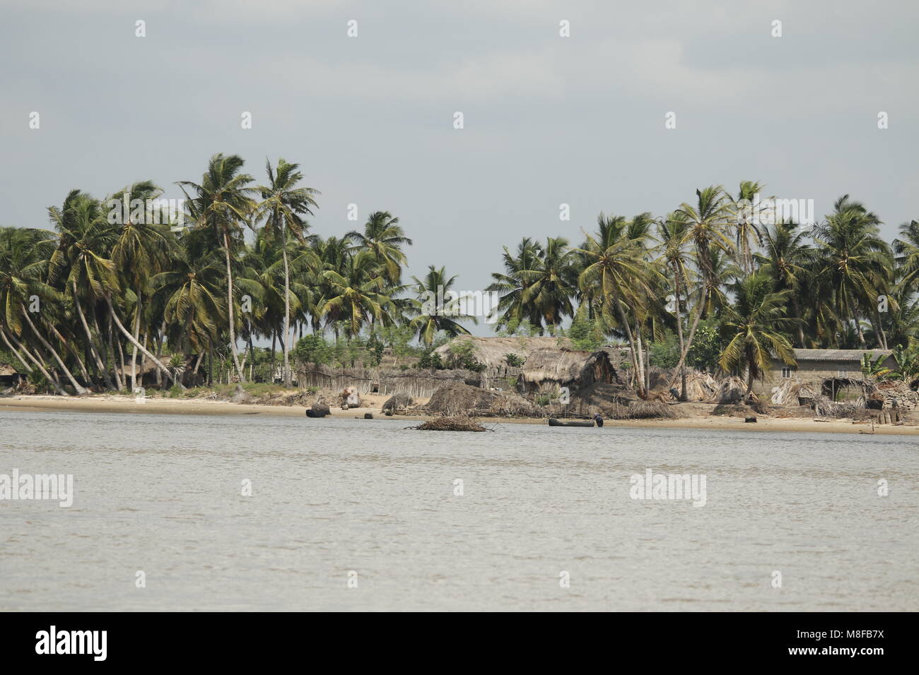 Beautiful environment along the Mono river in Benin Stock Photo - Alamy