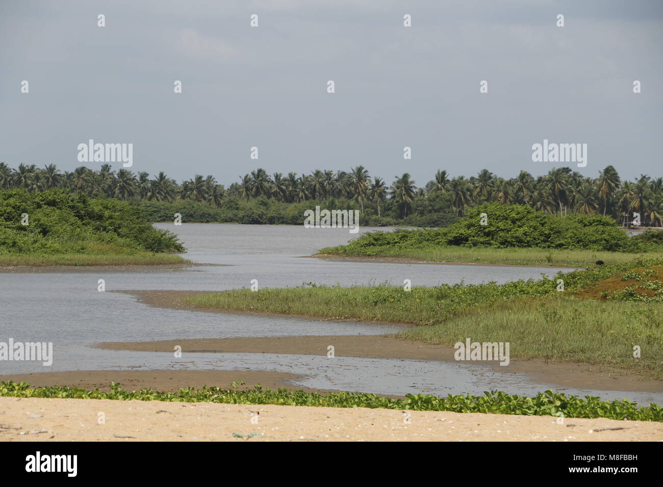 Beautiful environment along the Mono river in Benin Stock Photo - Alamy