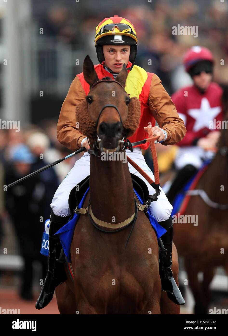 Jockey Max Kendrick goes to post for the Coral Cup Handicap Hurdle ...