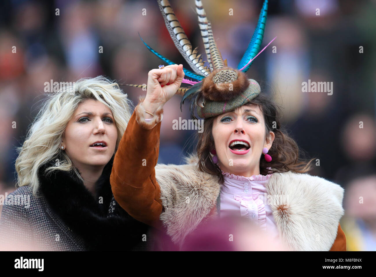 Racegoers cheer racecourse hi-res stock photography and images - Alamy