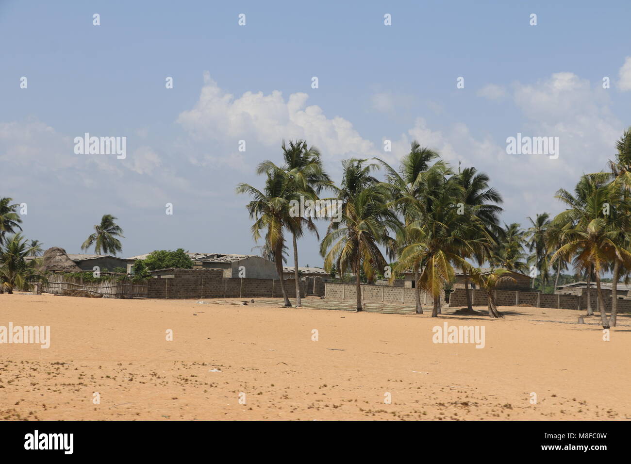 straw houses in between palm trees at the beach Stock Photo - Alamy