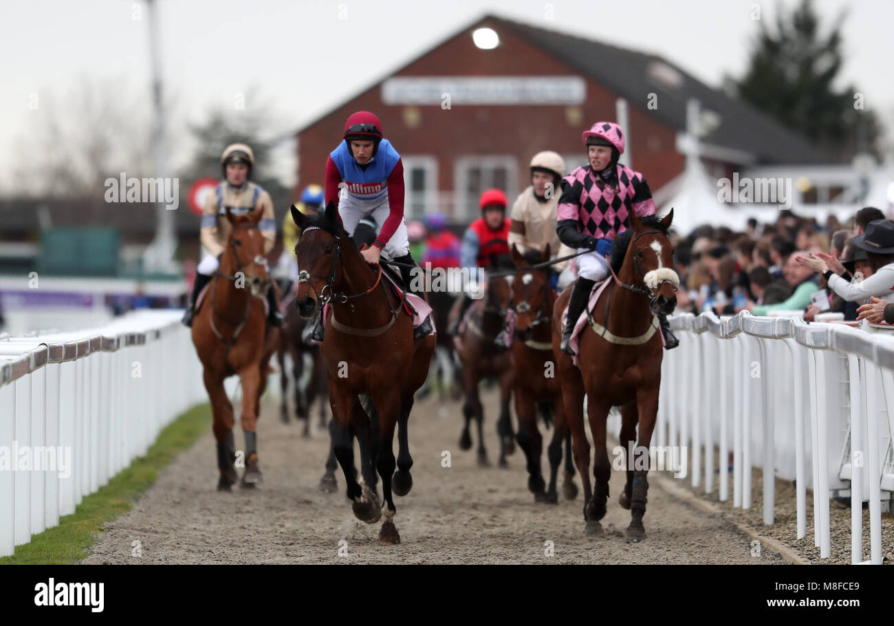 Runners and riders go to post during Ladies Day of the 2018 Cheltenham ...
