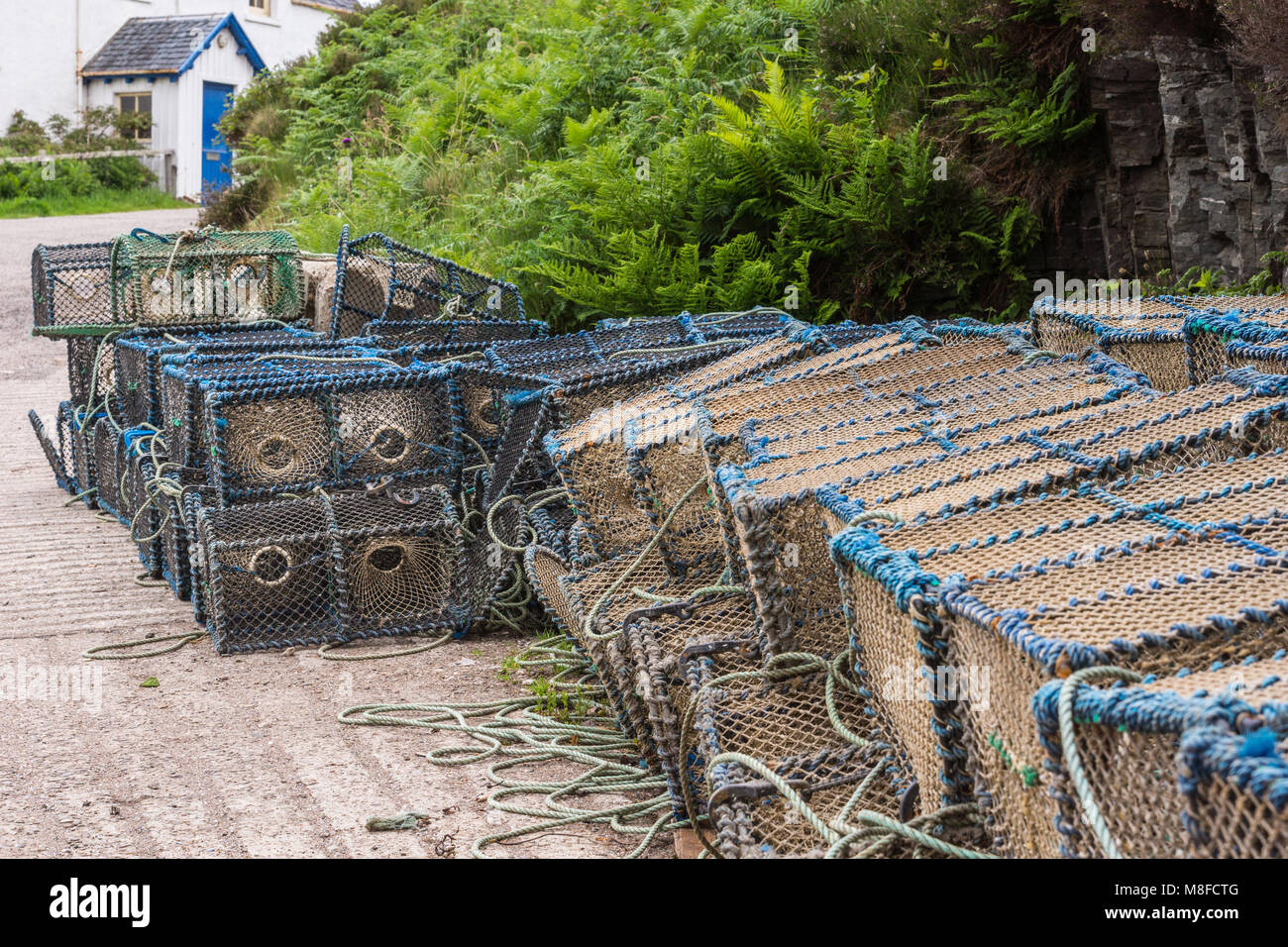 Stromeferry, Scotland - June 10, 2012: Closeup of stack of lobster ...