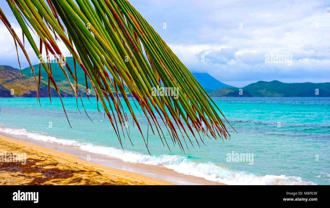 The Caribbean tropical beach Stock Photo - Alamy