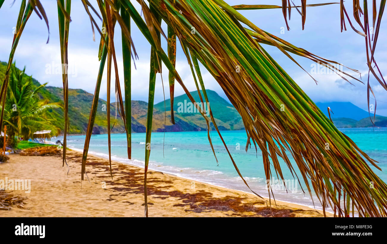 The Caribbean tropical beach Stock Photo - Alamy