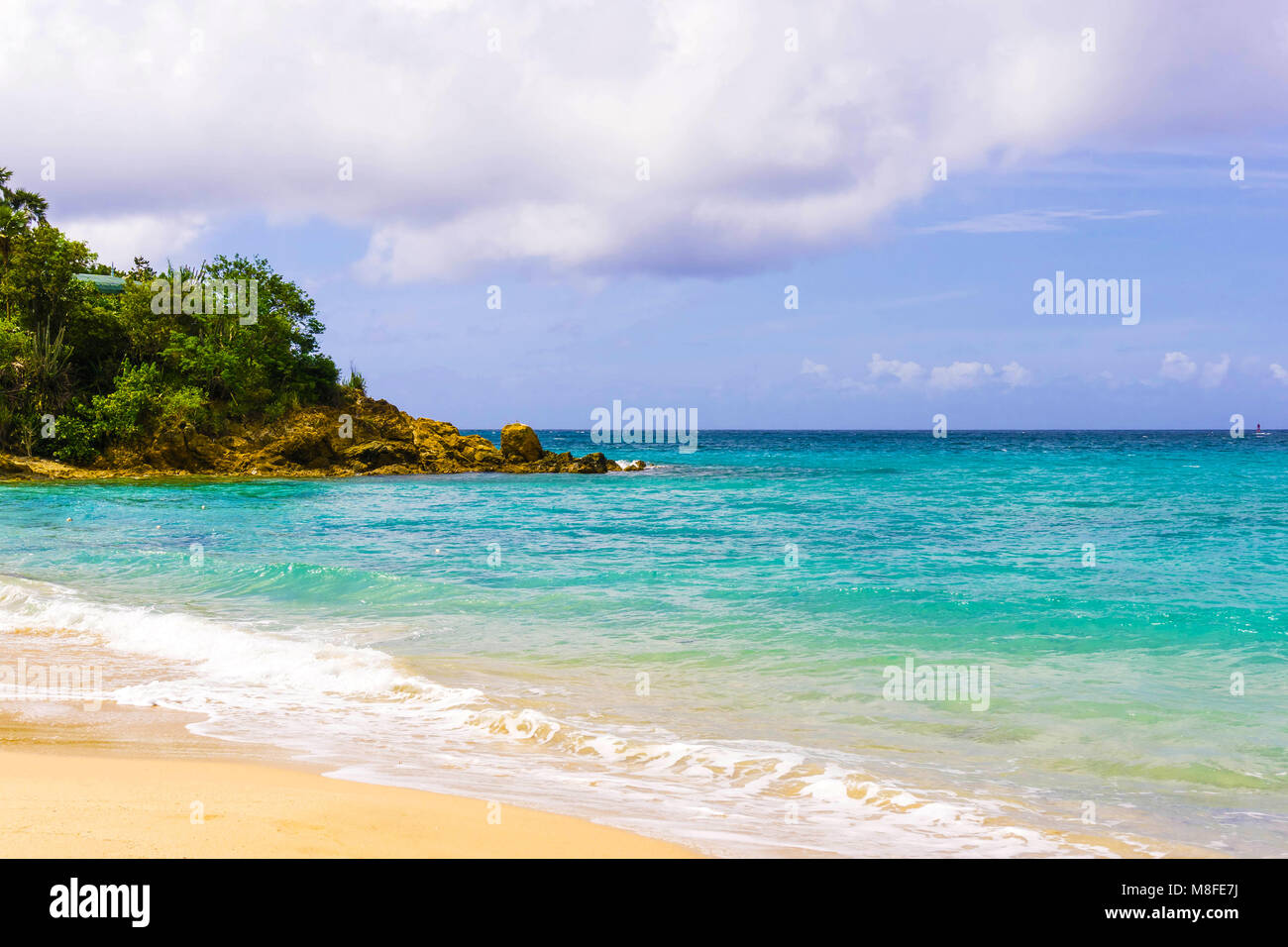 The Caribbean tropical beach Stock Photo - Alamy