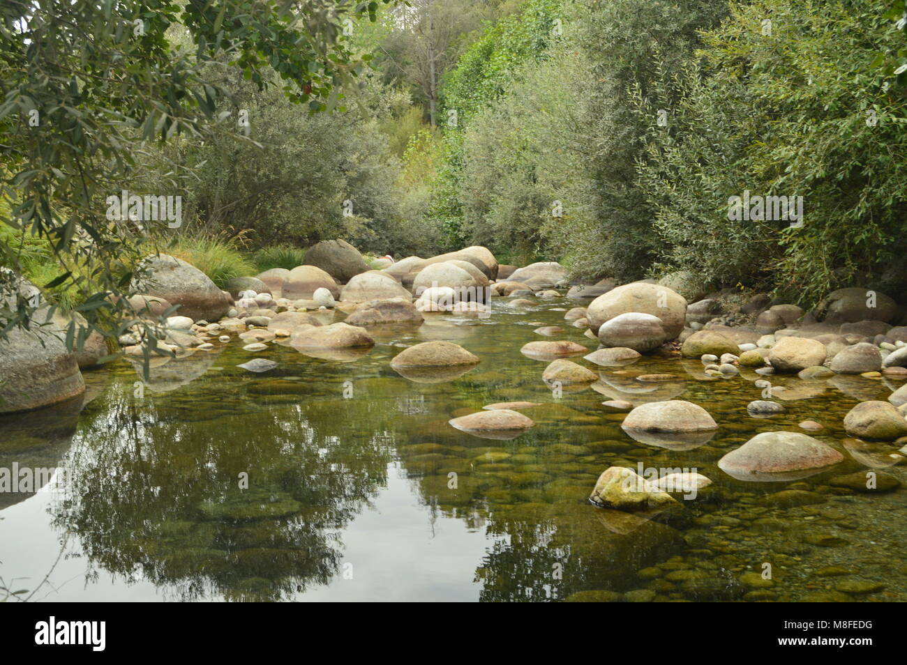 El raso spring hi-res stock photography and images - Alamy