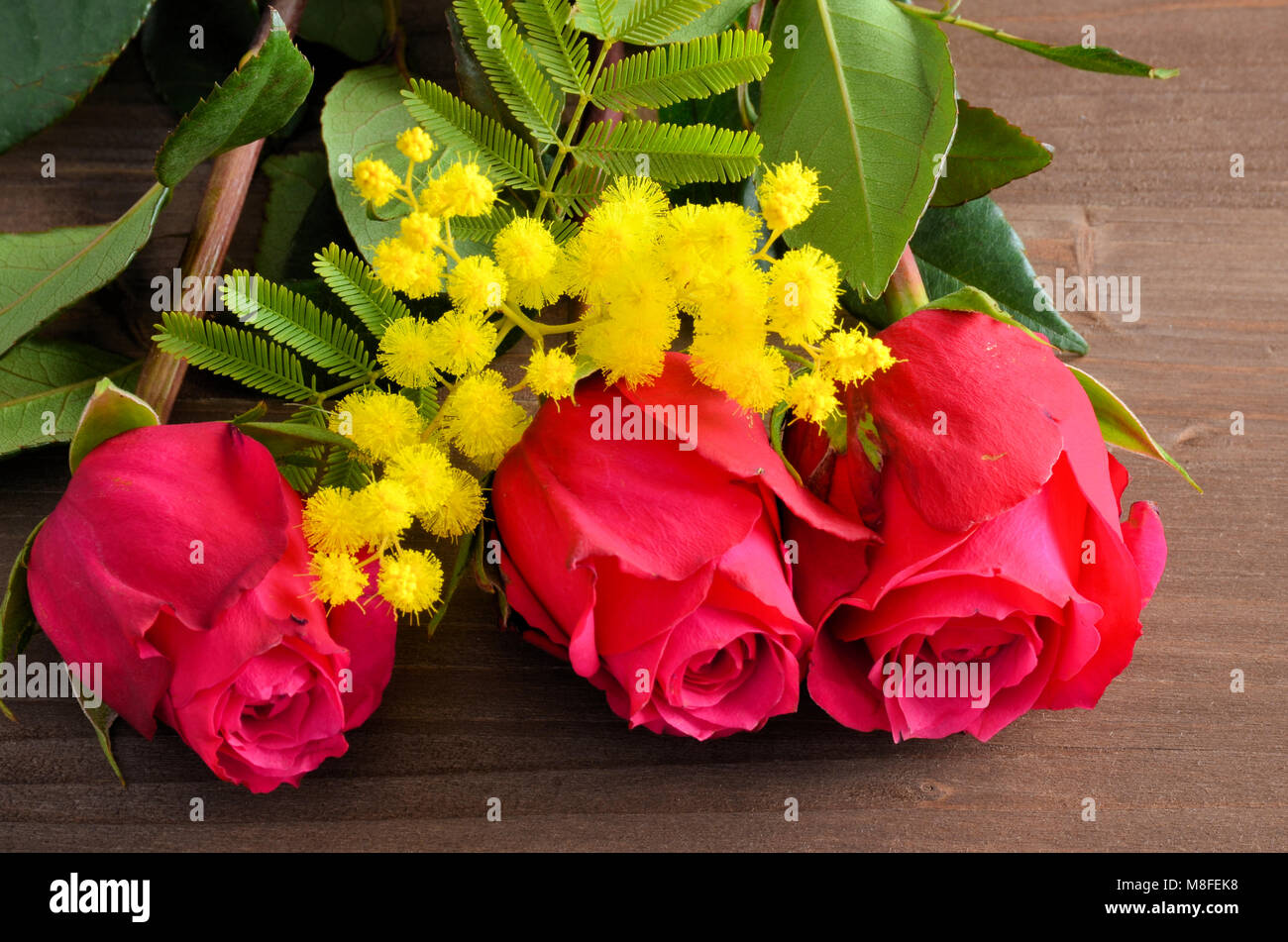 Three red roses against a brown background with yellow mimosa Stock ...