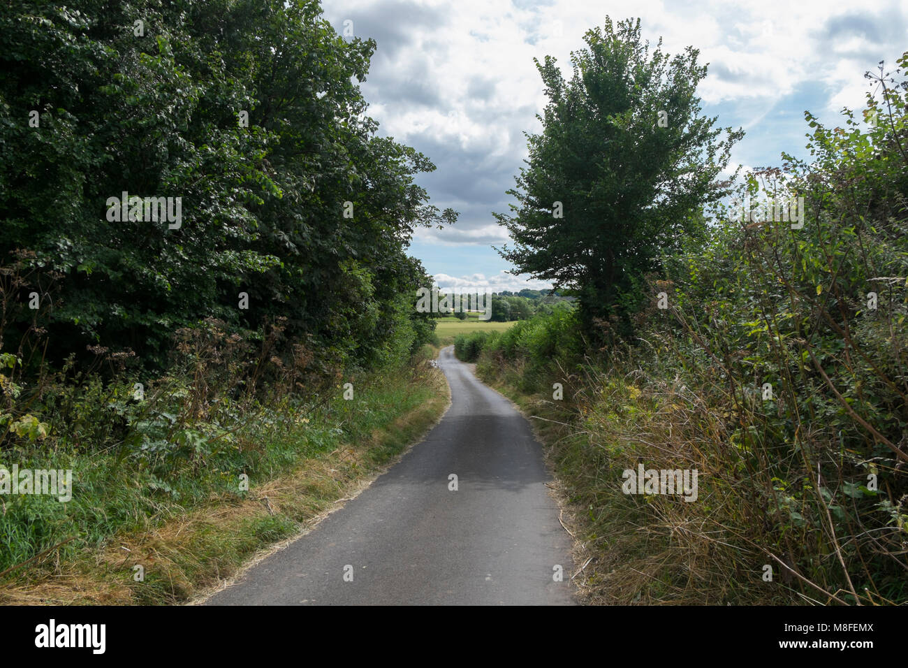 The lane leading to the village of Asthall, Oxfordshire, UK Stock Photo ...