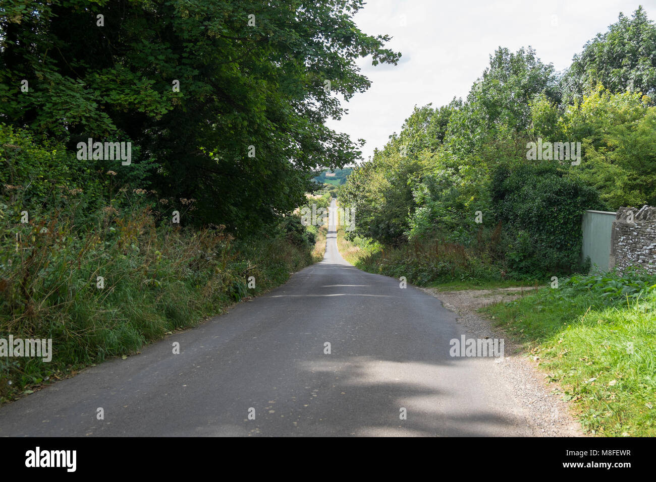 The road leading from Asthall to Swinbrook, Oxfordshire, UK Stock Photo ...
