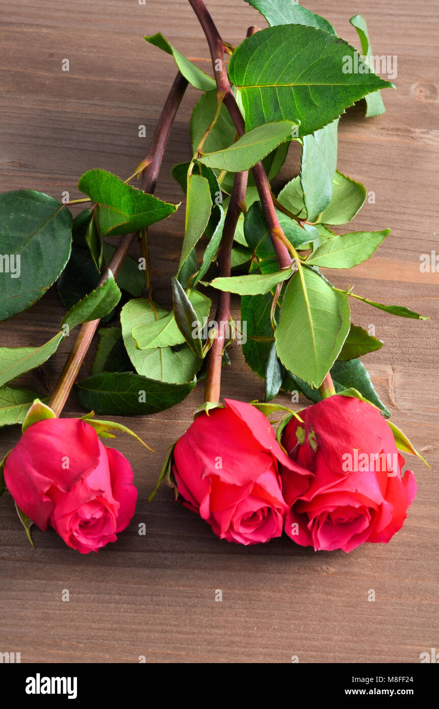 Three red roses against a brown background in line Stock Photo - Alamy
