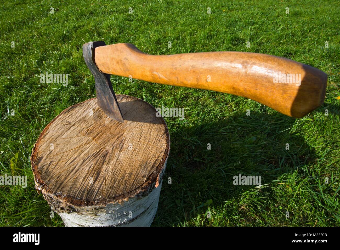 Axed tree hi-res stock photography and images - Alamy