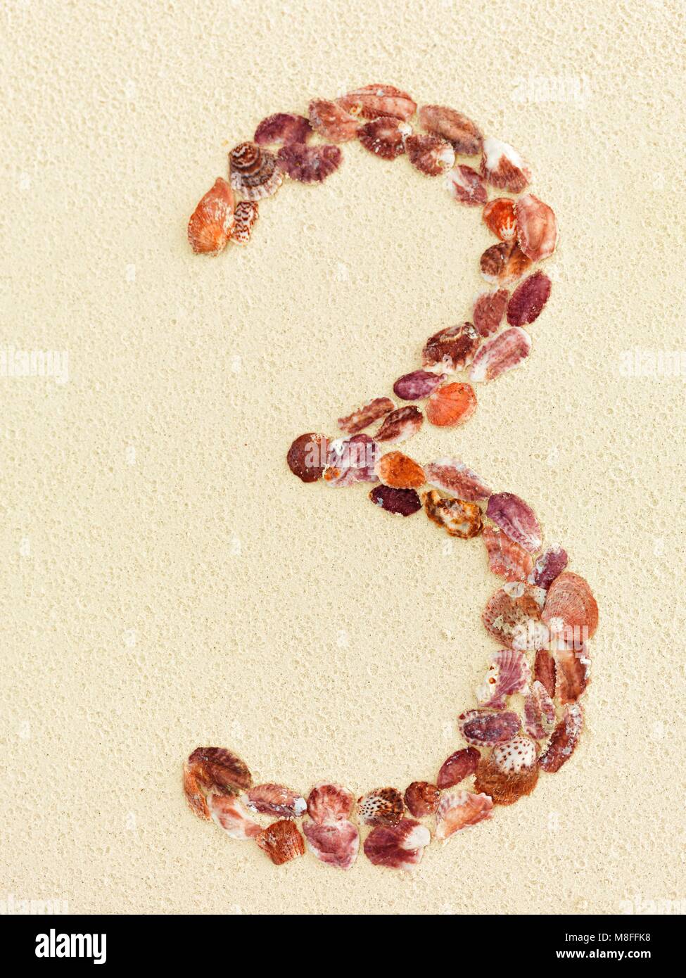 Digit three made of seashells on a coral sandy beach Stock Photo - Alamy