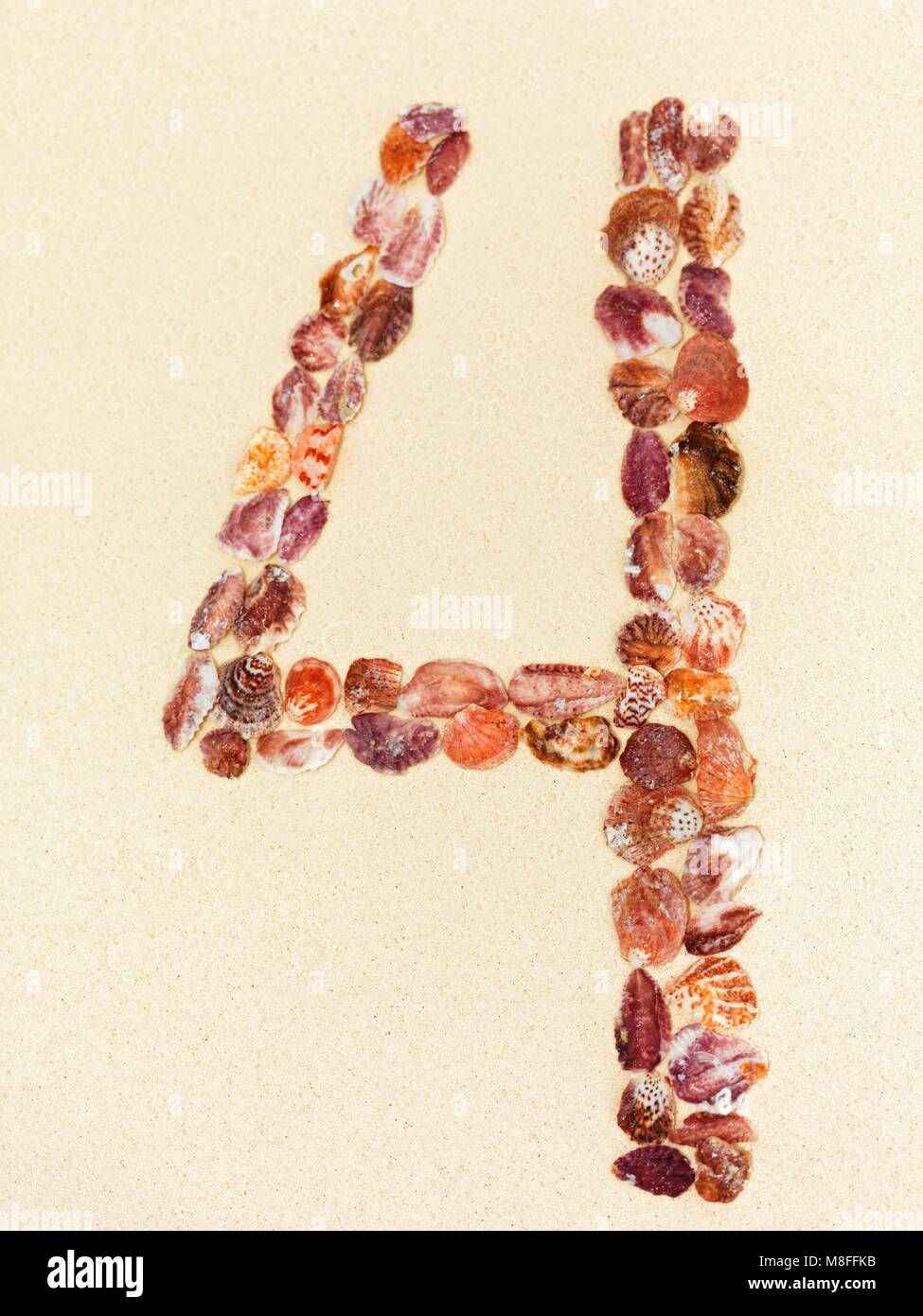 Four seashells hi-res stock photography and images - Alamy