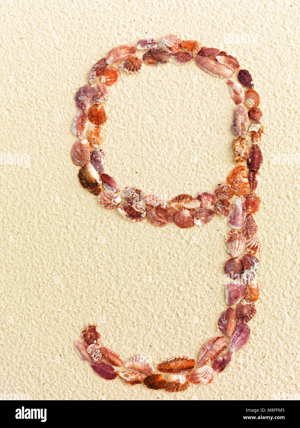 Digit nine made of seashells on a coral sandy beach Stock Photo - Alamy