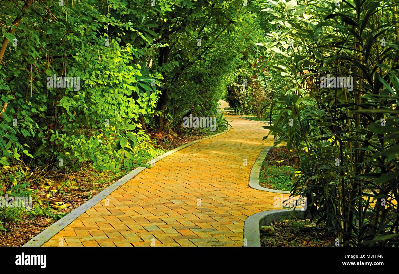 Yellow break road in a tropical hotel Stock Photo - Alamy
