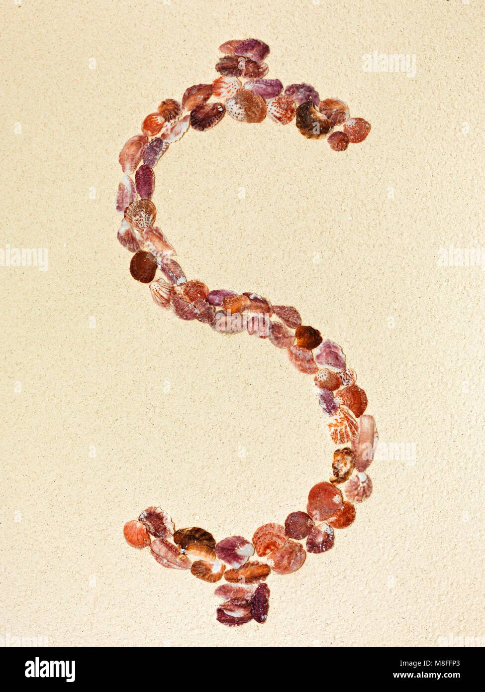 Symbol of USA dollar made of seashells on a coral sandy beach Stock ...