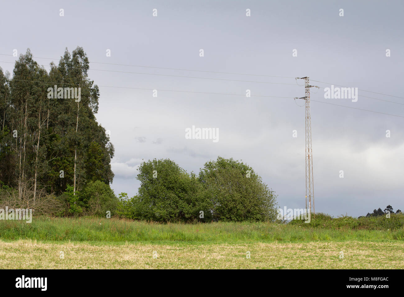 Electricity tower forest trees agriculture power hi-res stock ...