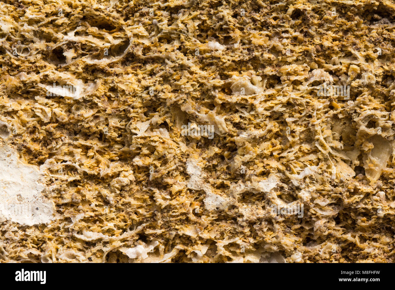 The texture of the stone wall of the porous surface, horizontal shot ...