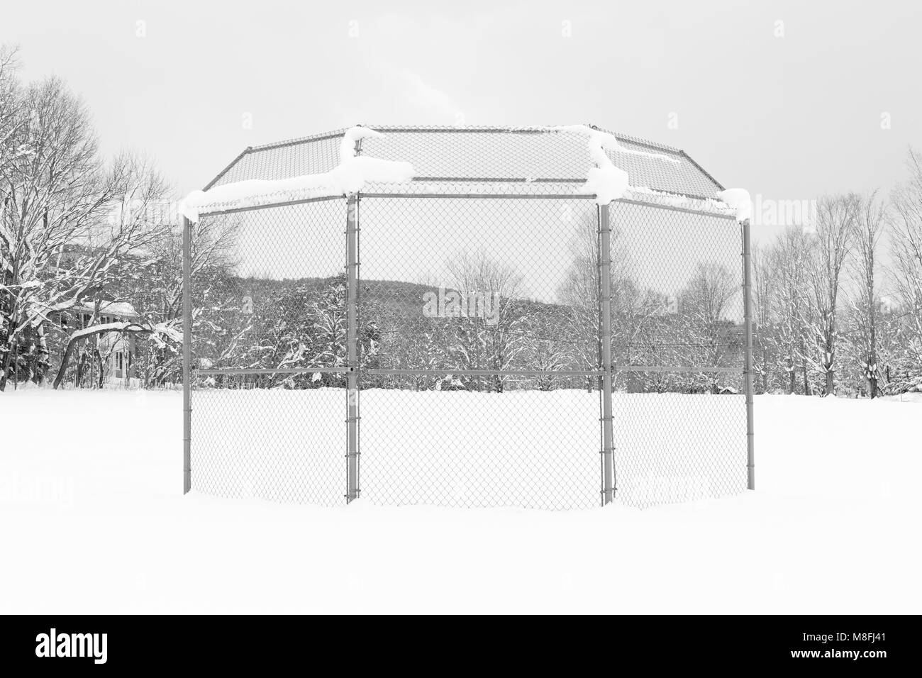 Backstop hi-res stock photography and images - Alamy