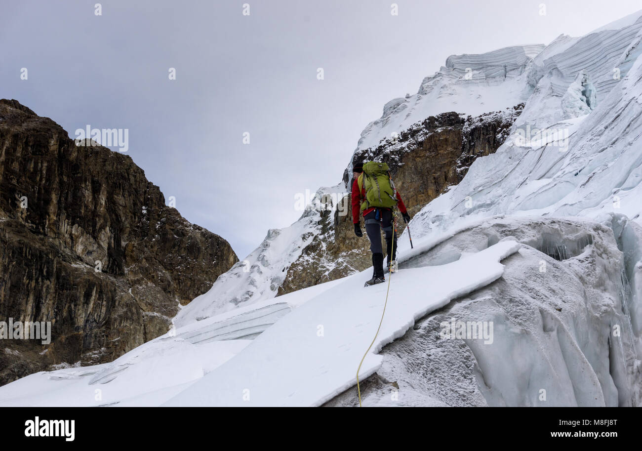 male mountain guide climbing a steep glacier in the Andes in Peru ...