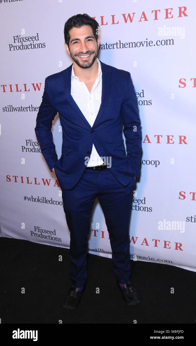 'Stillwater' premiere at the Laemmle's NoHo 7 theatre Featuring: Paul ...