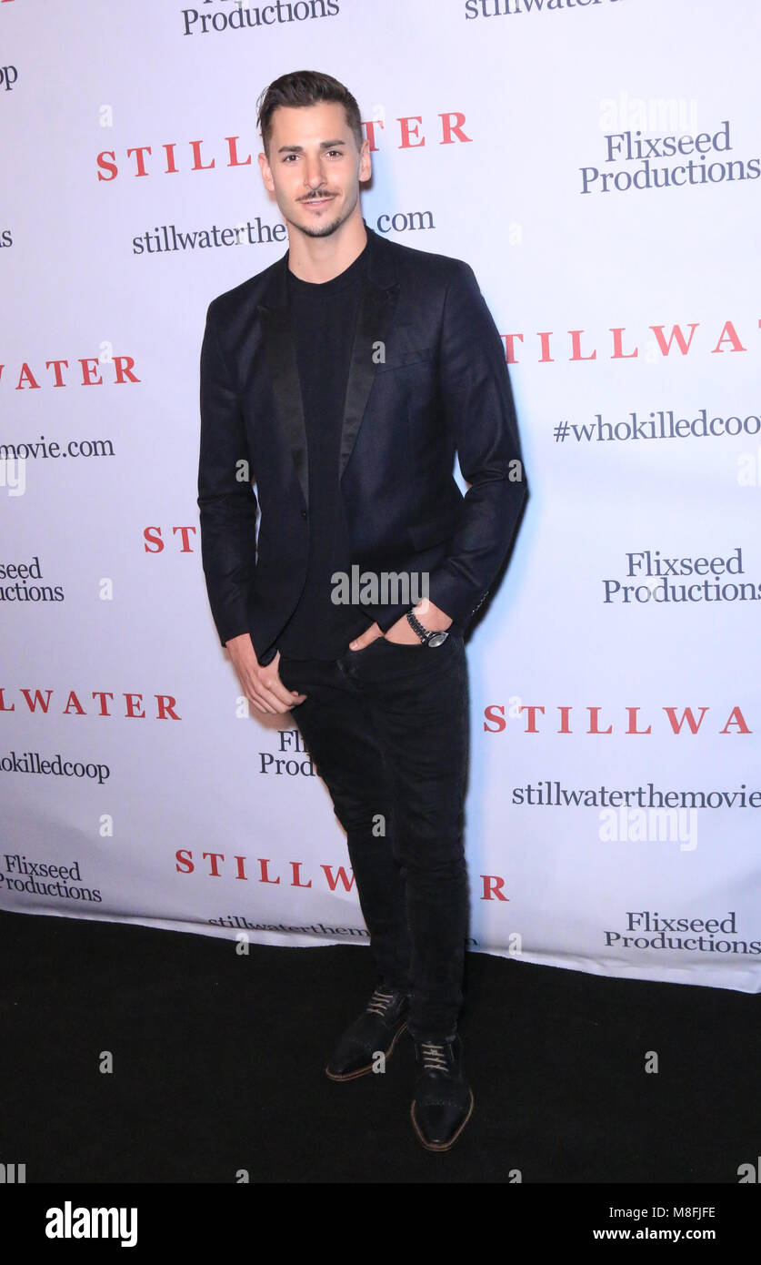 'Stillwater' premiere at the Laemmle's NoHo 7 theatre Featuring: Ryan ...