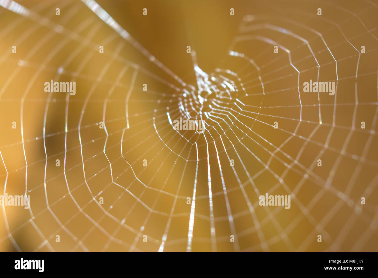 Cobweb empty hi-res stock photography and images - Alamy