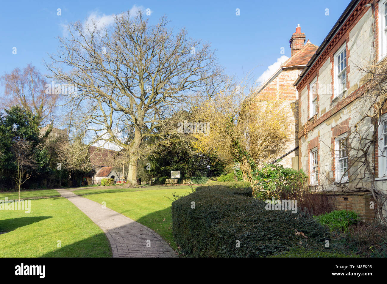 Selborne village in the South Downs National Park Stock Photo - Alamy