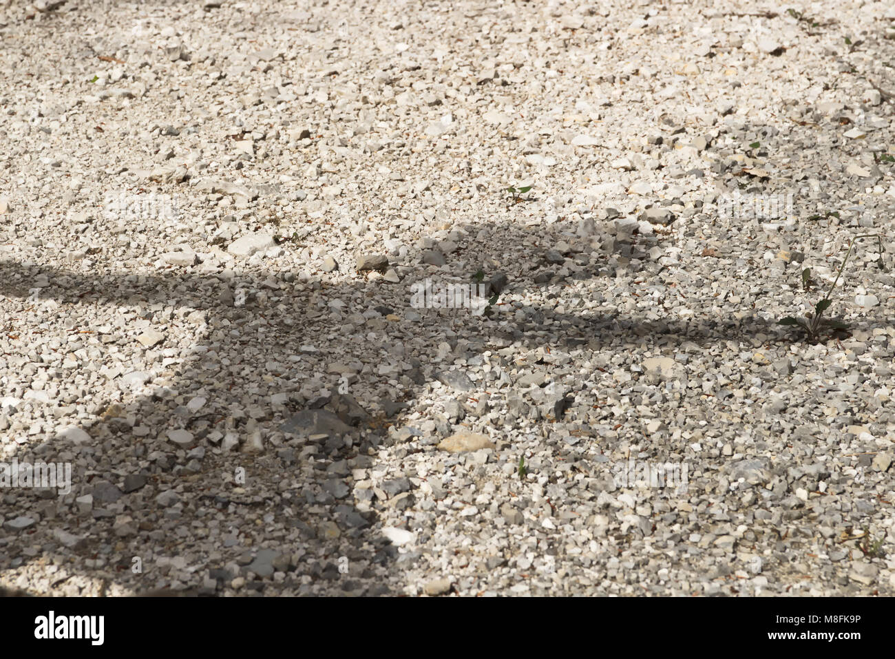 Shadow only hi-res stock photography and images - Alamy