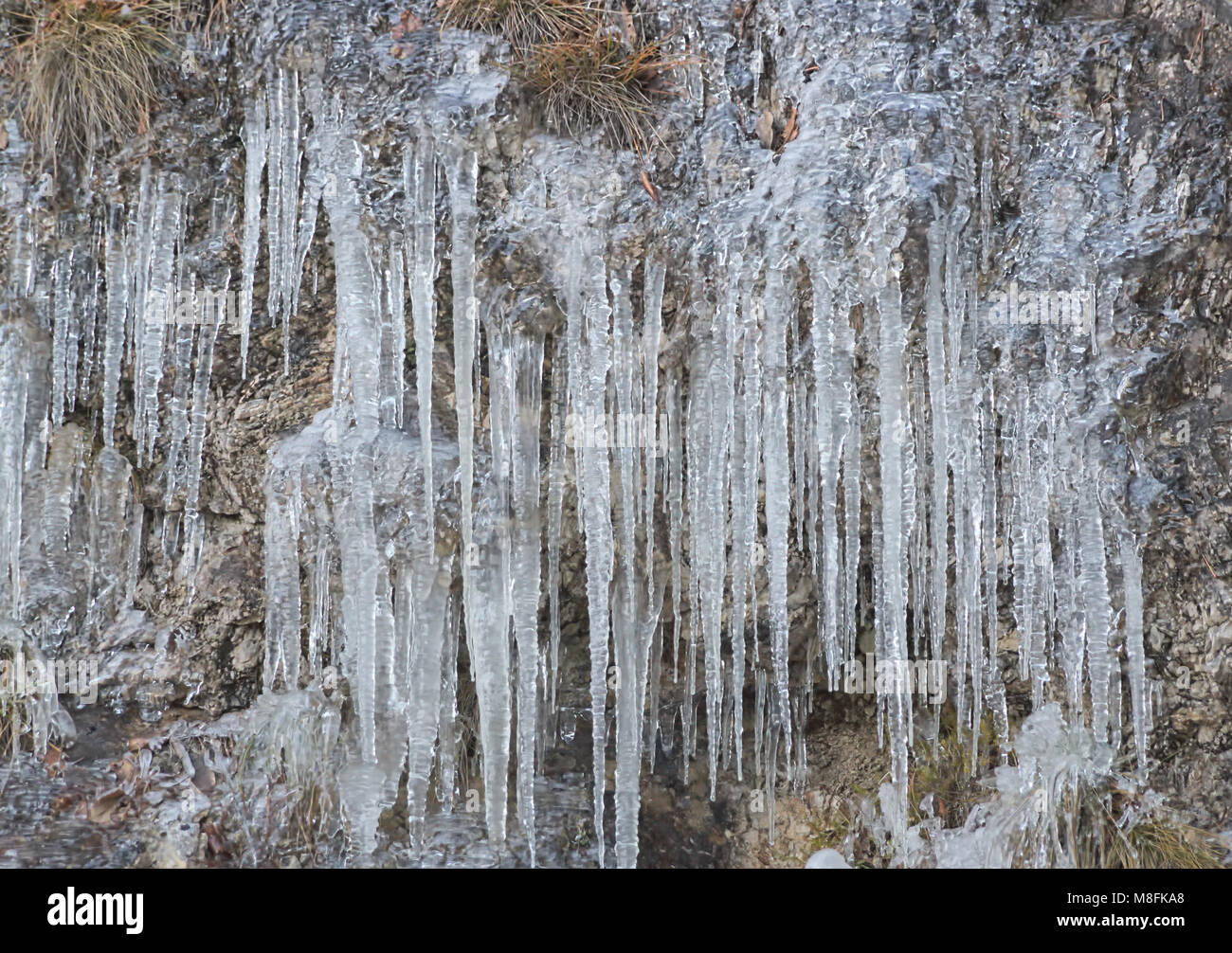 Ice Stalactite on Rock Stock Photo - Alamy