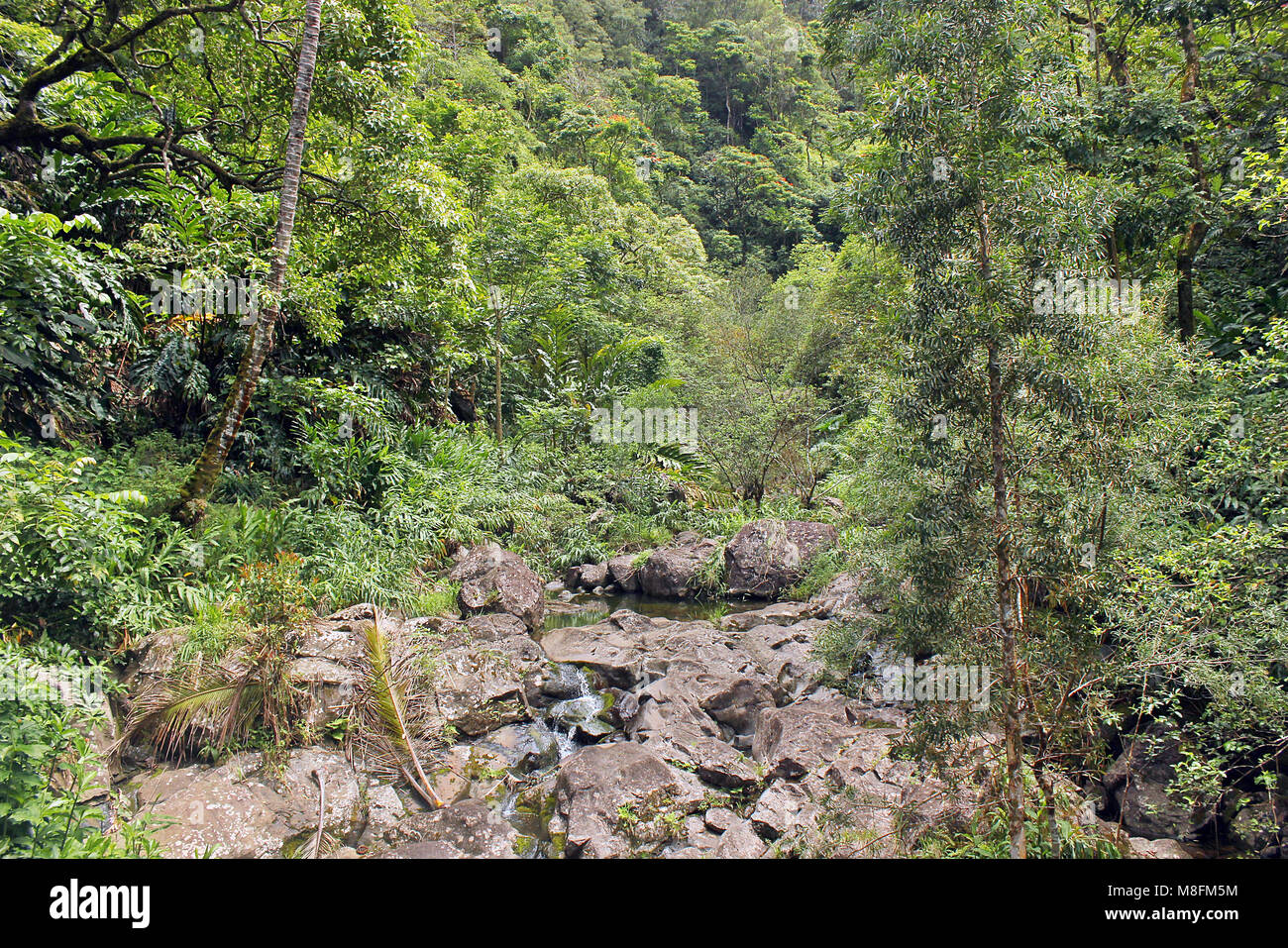 Riverbed and jungle off the Road to Hana on the Hawaiian island of Maui ...
