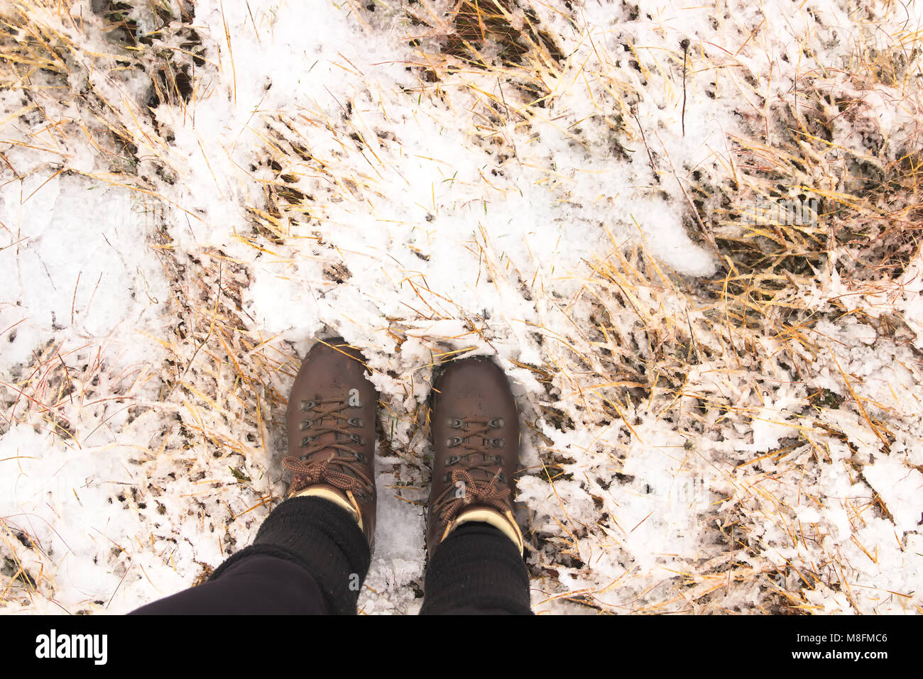 Snowy grass hi-res stock photography and images - Alamy