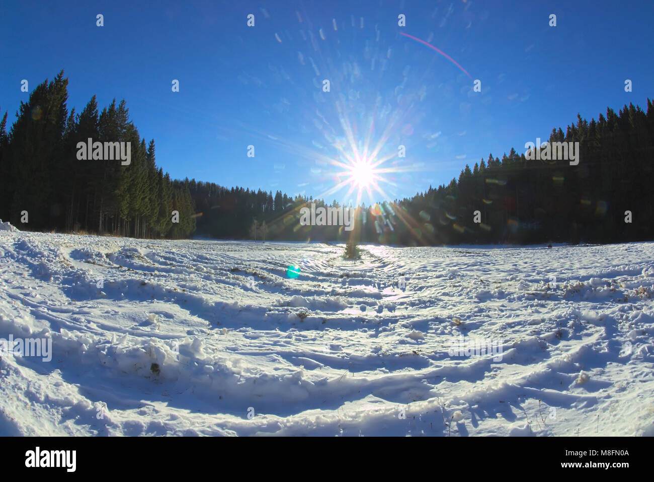Snow and Winter`s Sun Stock Photo - Alamy