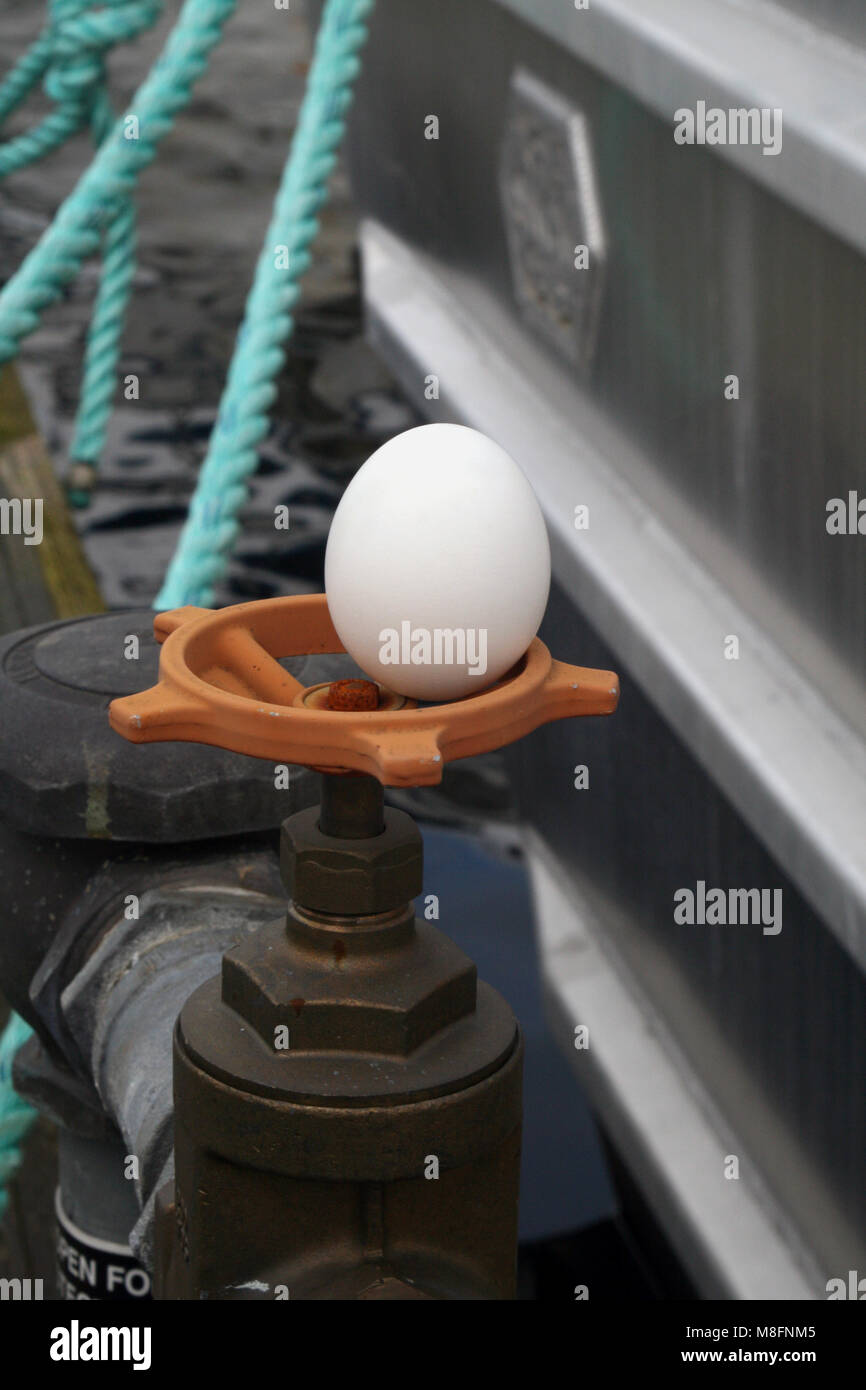 White egg sitting on top of an orange valve wheel Stock Photo - Alamy