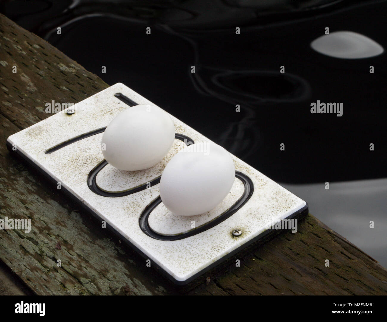 Two eggs on top of a metal plate marking a mooring slip Stock Photo - Alamy