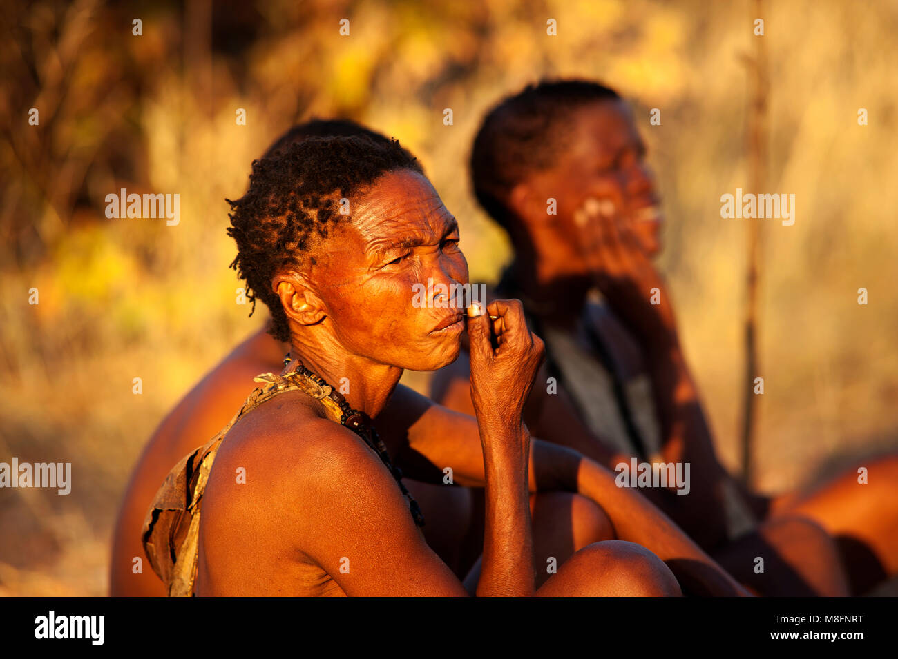 Ju/'Hoansi or San bushmen hunters in the african bush. Many tourists ...