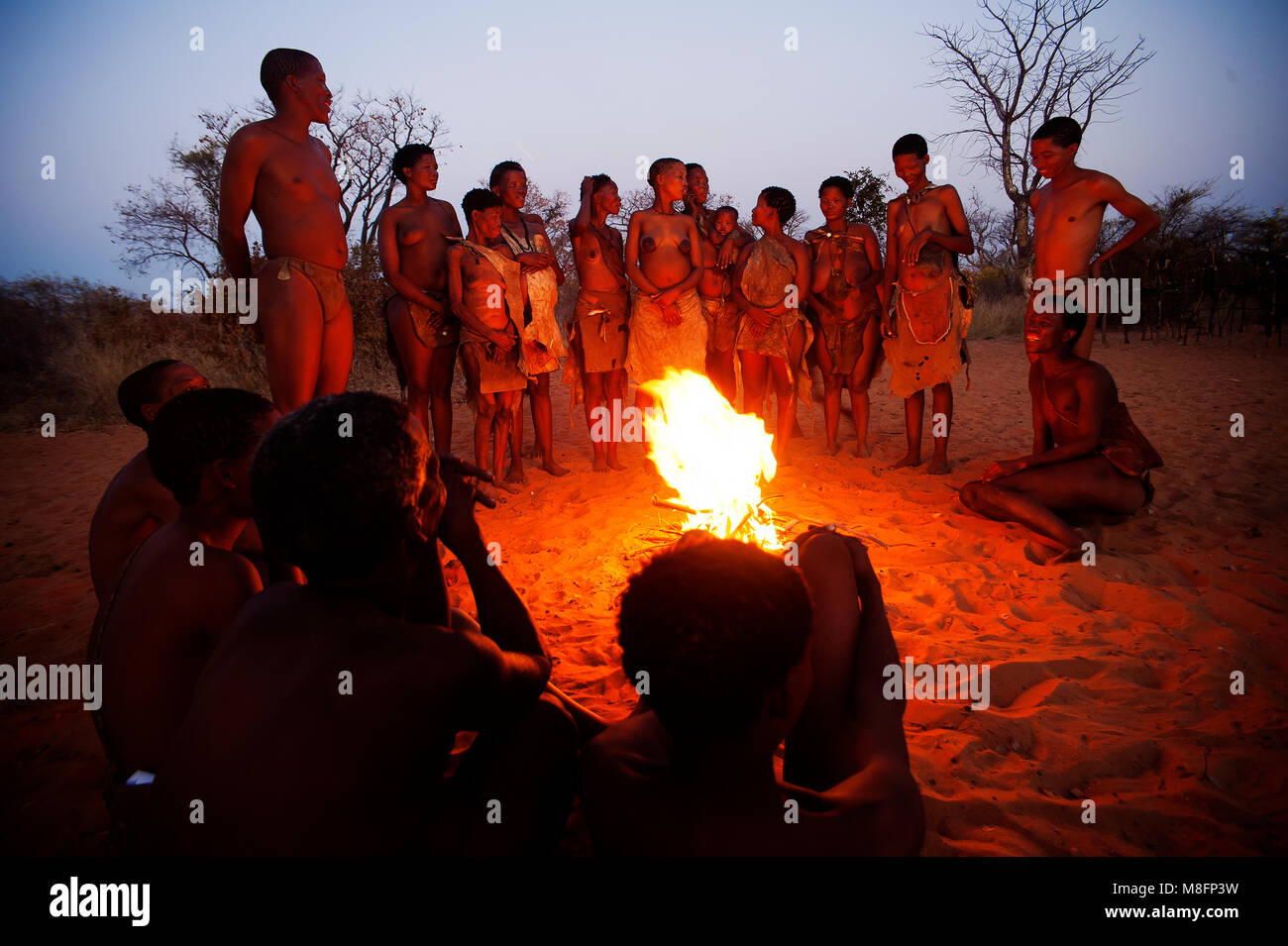 Ju/'Hoansi or San bushmen hunters in the african bush. Many tourists ...