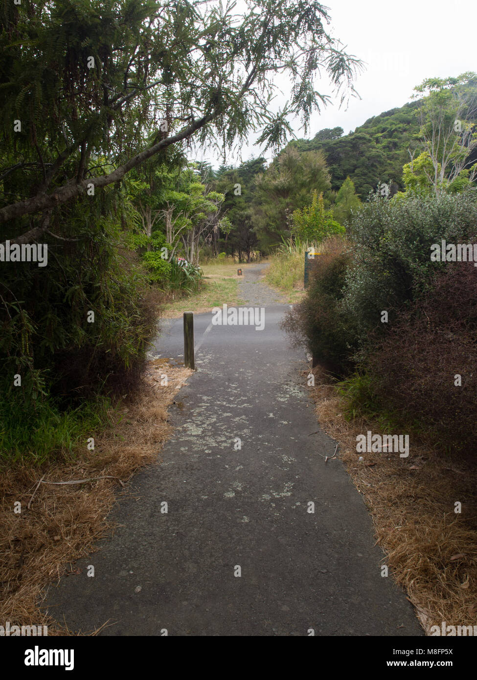 Footpath And Post On A Bush Walk Stock Photo - Alamy