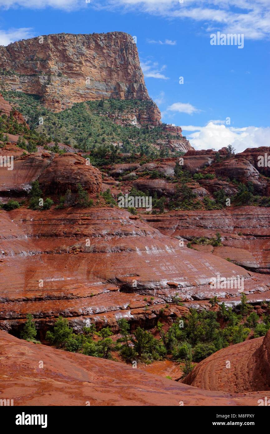 Sedona, AZ, USA: Red sandstone formations shine with brilliant color ...