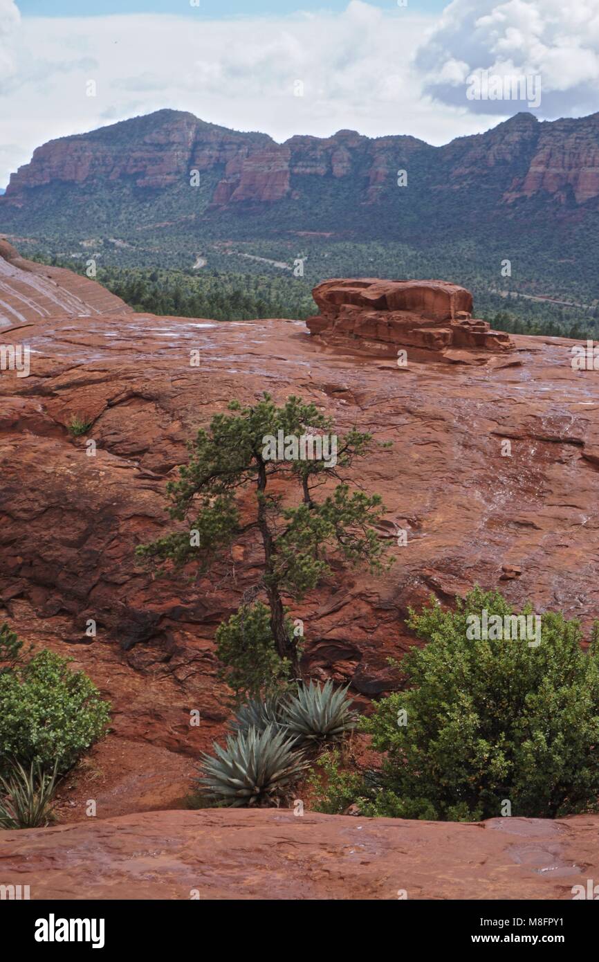 Sedona, AZ, USA: Red sandstone formations shine with brilliant color ...