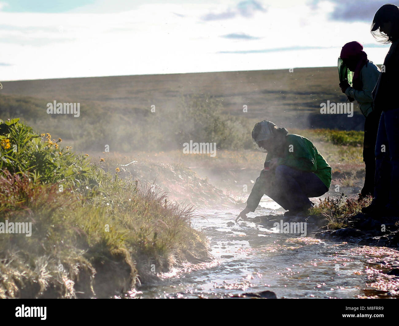 Arctic Hot Springs Stock Photo - Alamy